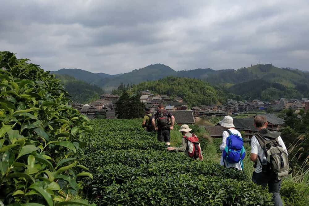 Trekking im Tiger Sprung Schlucht, Yunnan (14 Tage, Trekking 4 Tage ...