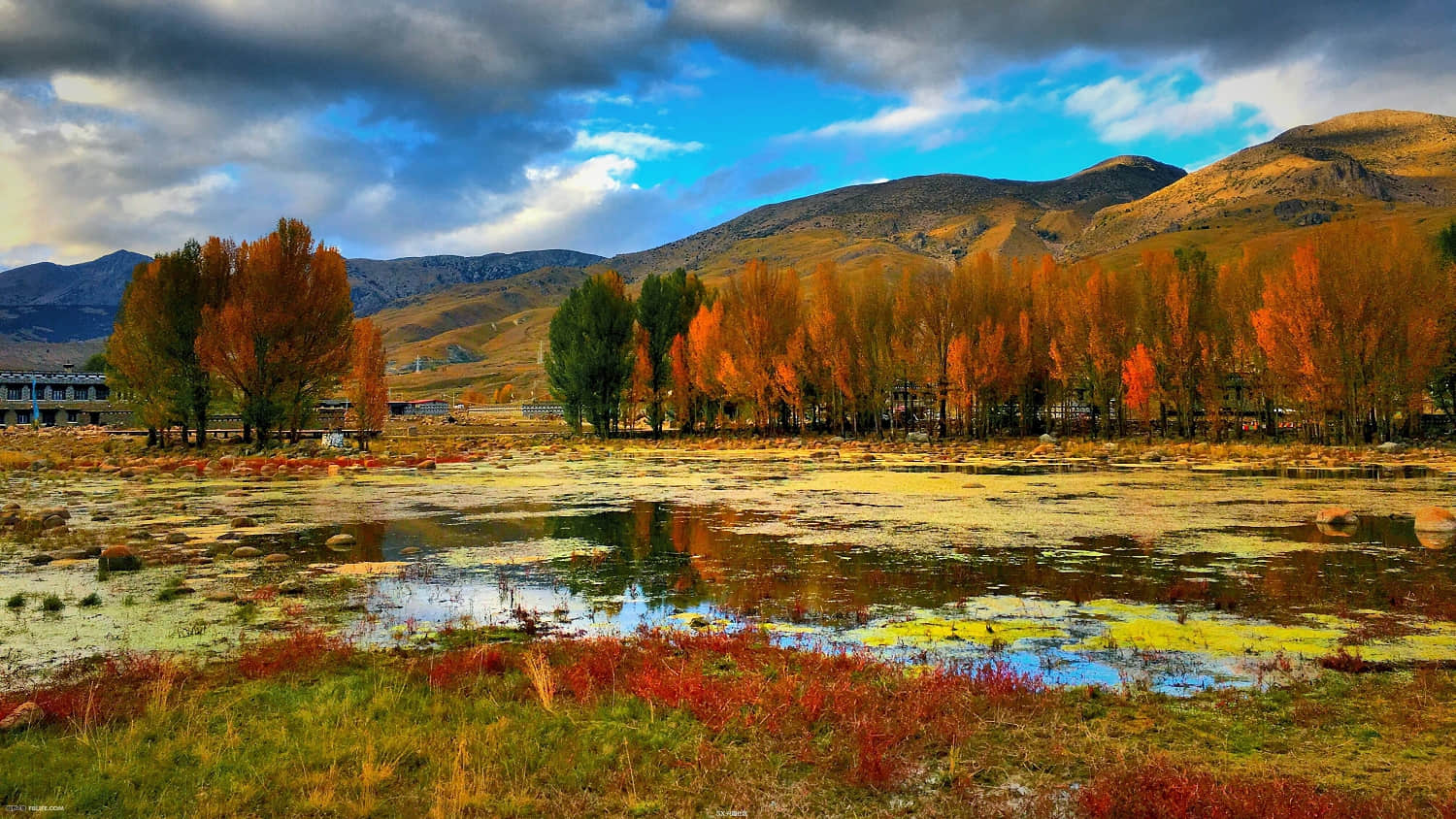 The Ultimate Road Trip Itinerary for Fall Foliage in Western Sichuan ...