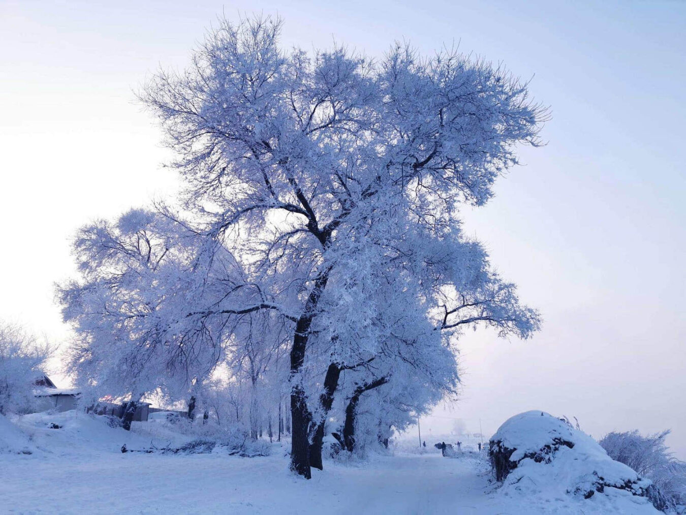 9 Best Destinations for Winter Road Trip in China | NAVO Tour