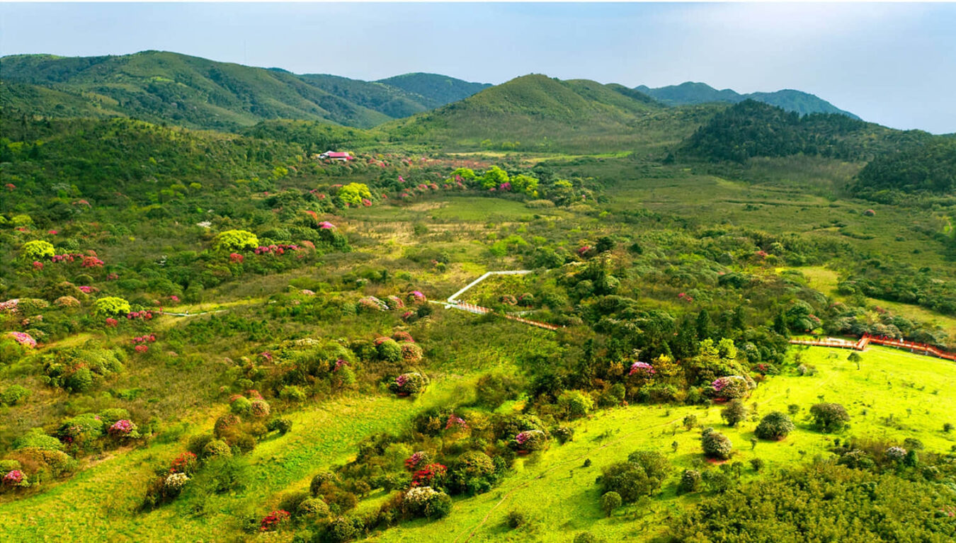 Best China National Parks to Explore | NAVO Tour