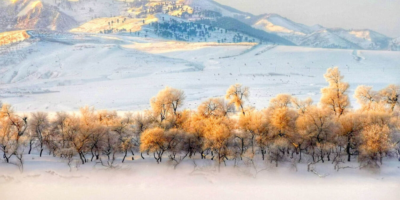 Embracing China's Winter Majesty: Top Destinations, Activities, and ...