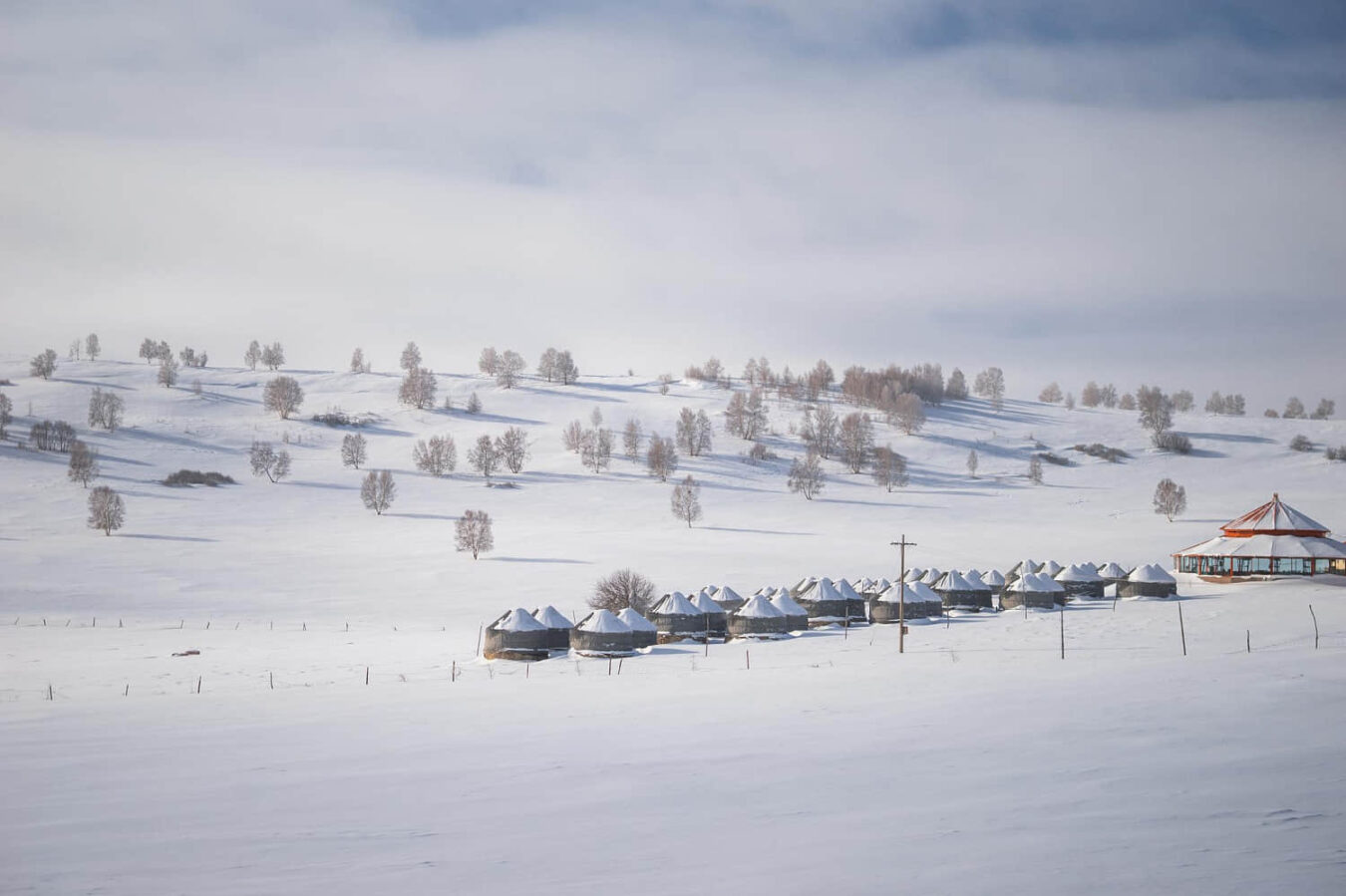 Winter Road Trip in Inner Mongolia: A Snowy Adventure Guide | NAVO Tour